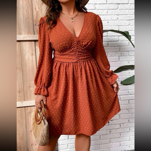 Dresses | Plus Size Rust Brown Swiss Dot Dress | Poshmark